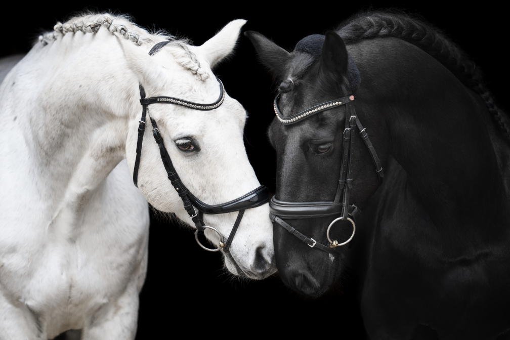 CEWE Photo Award 2021 | CEWE Fotowettbewerbe